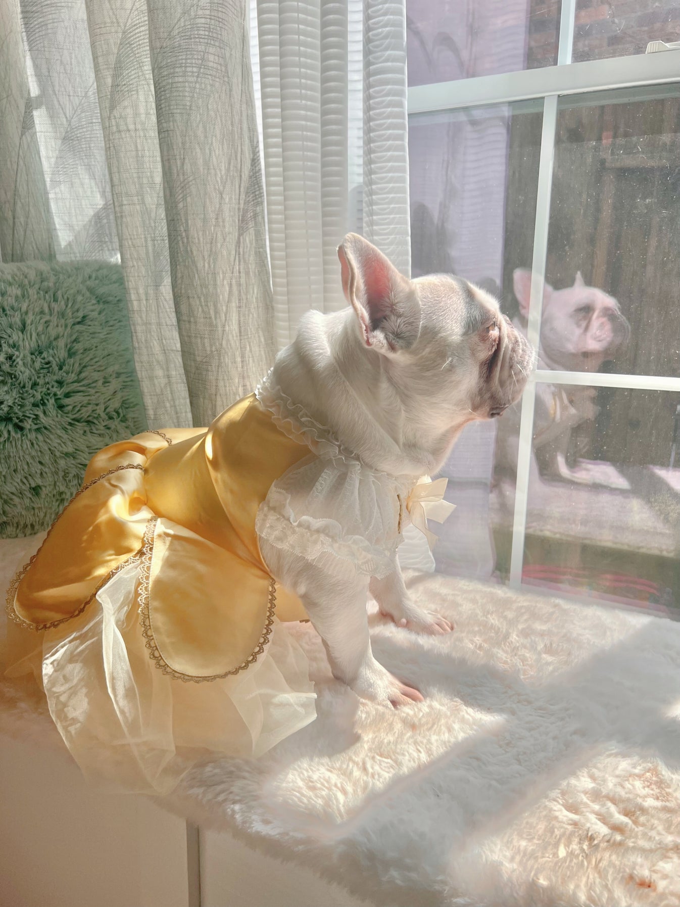 Custom Design Pet Princess Tulle Wedding Dress – fit-frenchie.com