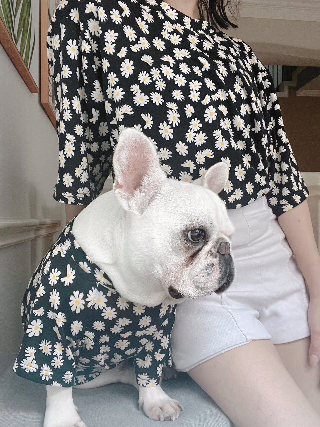 Actually Fit Beyond Frenchie - Fit Frenchie – fit-frenchie.com